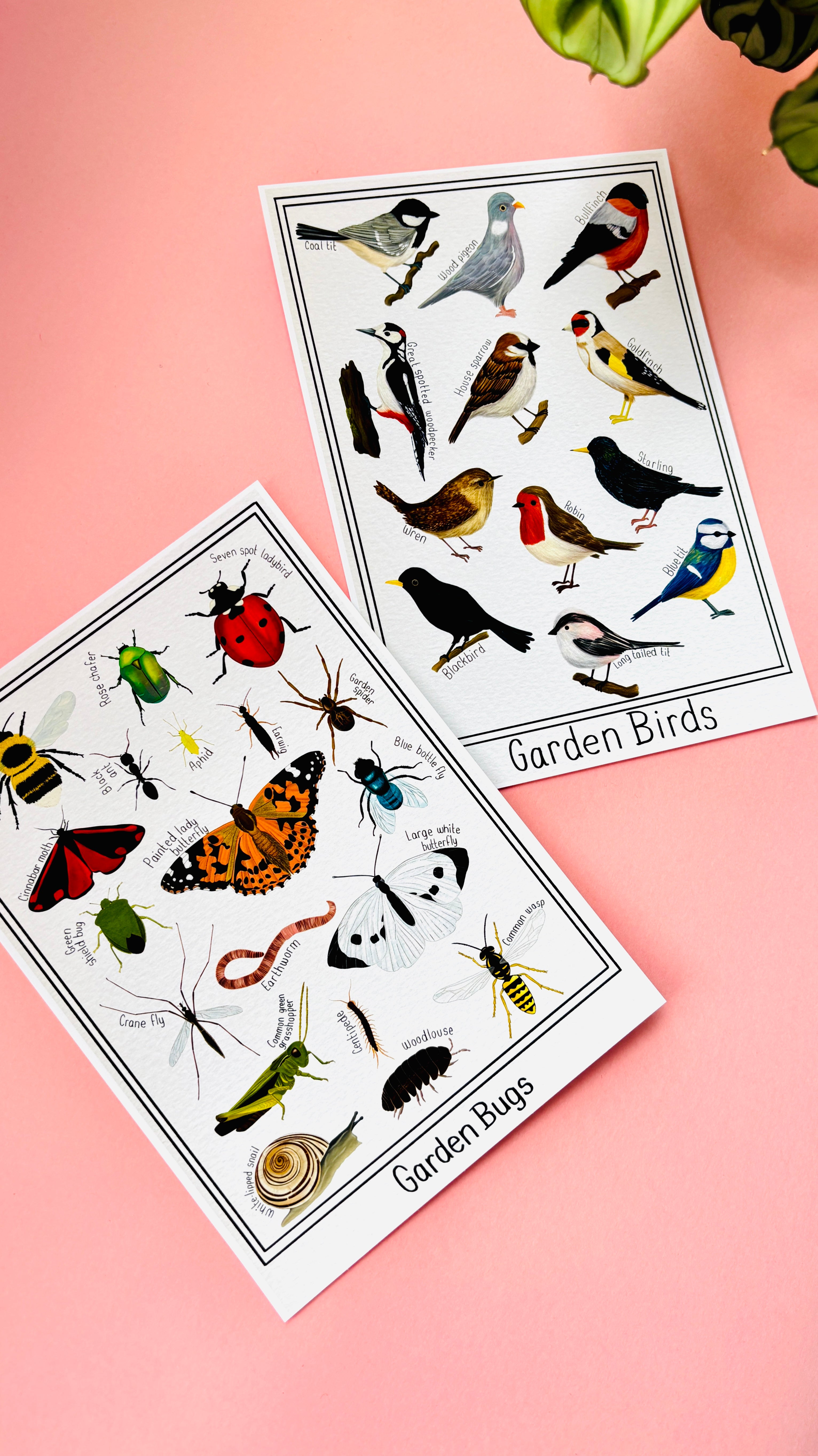 Pixiecraft: Colourful gift ideas, art and colouring books